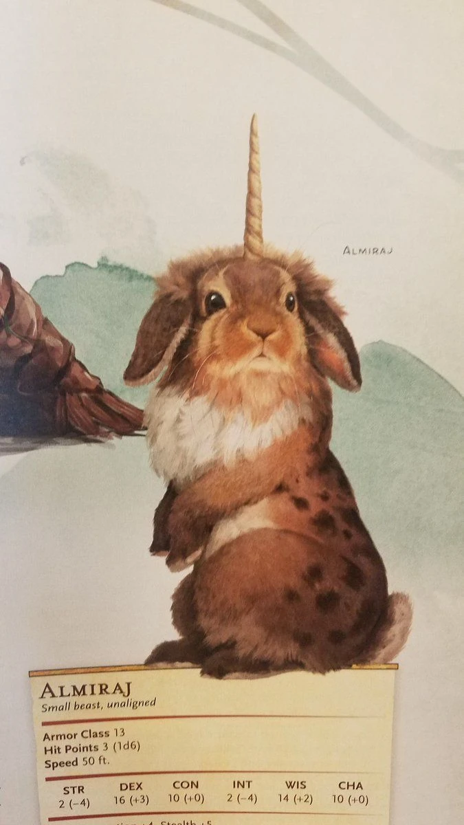 Al miraj | Luck dog Wiki | Fandom