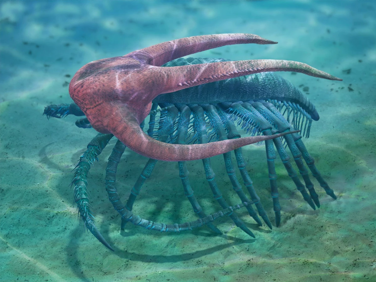 Marella | Luck dog Wiki | Fandom