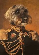 Colonel dog | Luck dog Wiki | Fandom