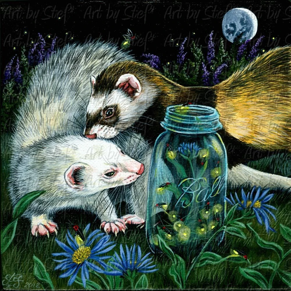 Ferret | Luck dog Wiki | Fandom