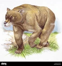 Moby | Luck dog Wiki | Fandom