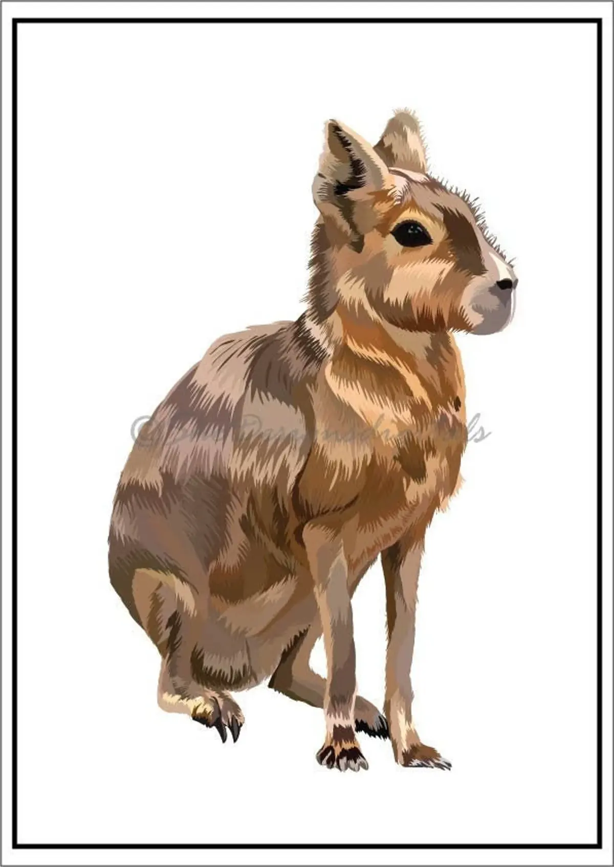 Rodney the mara | Luck dog Wiki | Fandom