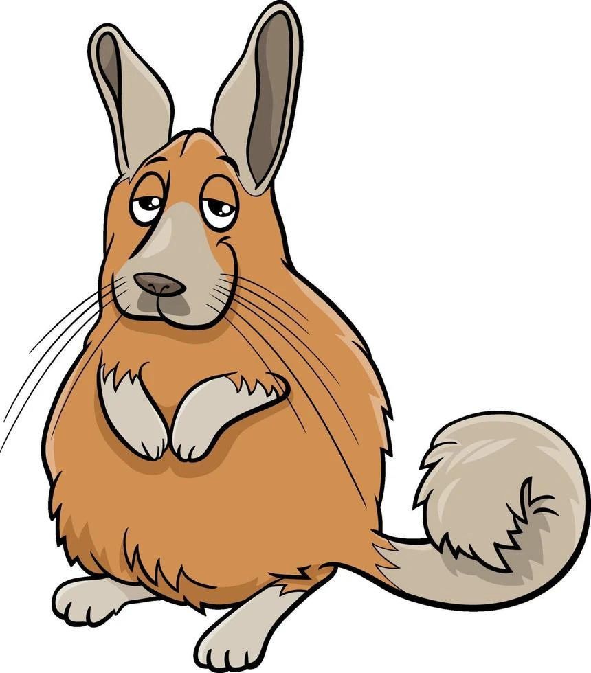 Viscacha | Luck dog Wiki | Fandom