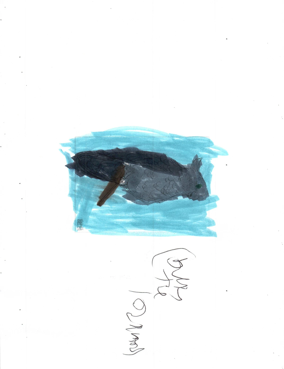 Bucky the cockatoo | Luck dog Wiki | Fandom