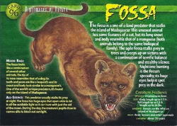 Fossa (nightmares of nature) | Luck dog Wiki | Fandom
