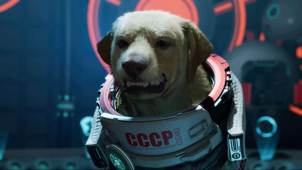 Cosmo the dog | Luck dog Wiki | Fandom