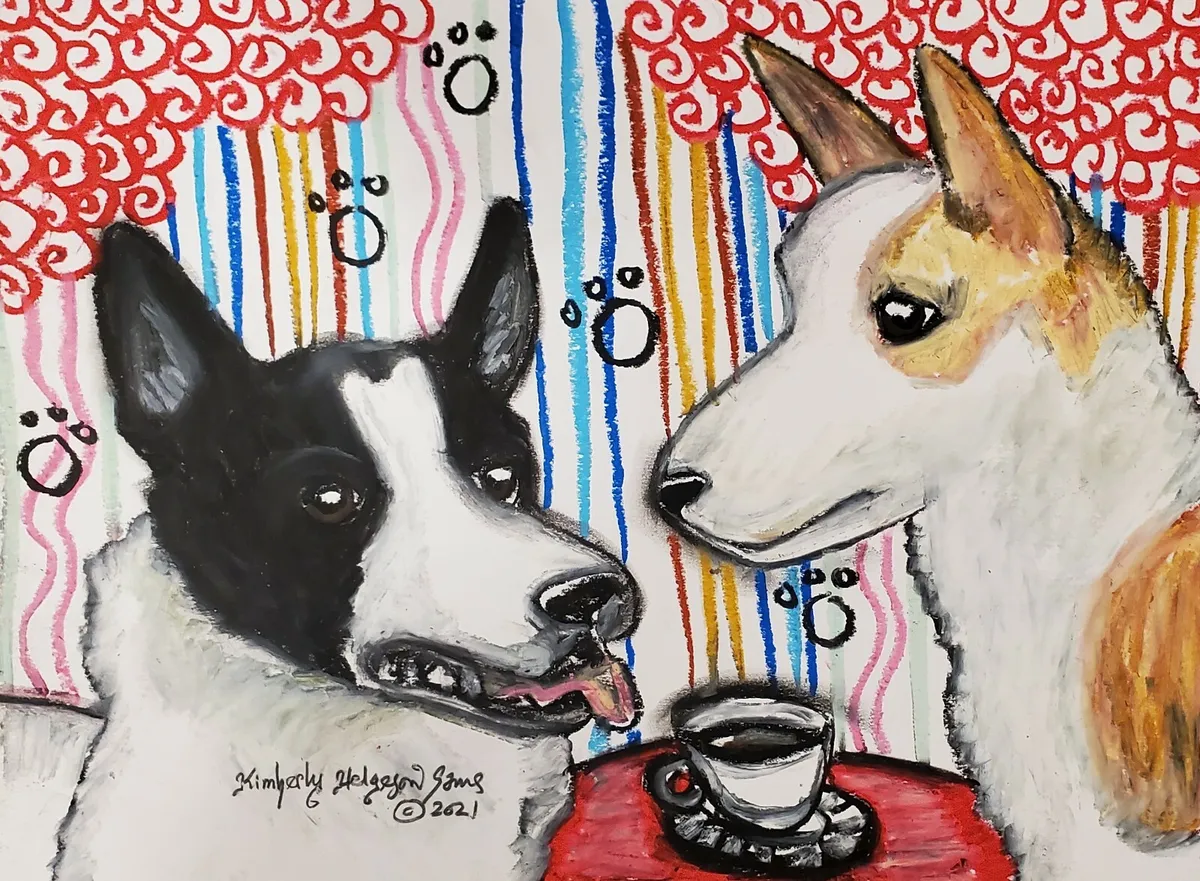 Cadogan the canaan dog | Luck dog Wiki | Fandom