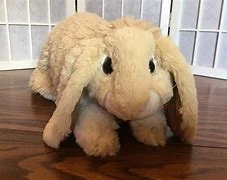 Floppy rabbit | Luck dog Wiki | Fandom