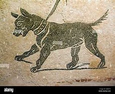 Roman dog | Luck dog Wiki | Fandom