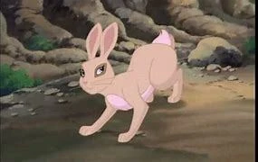 Primrose the rabbit | Luck dog Wiki | Fandom