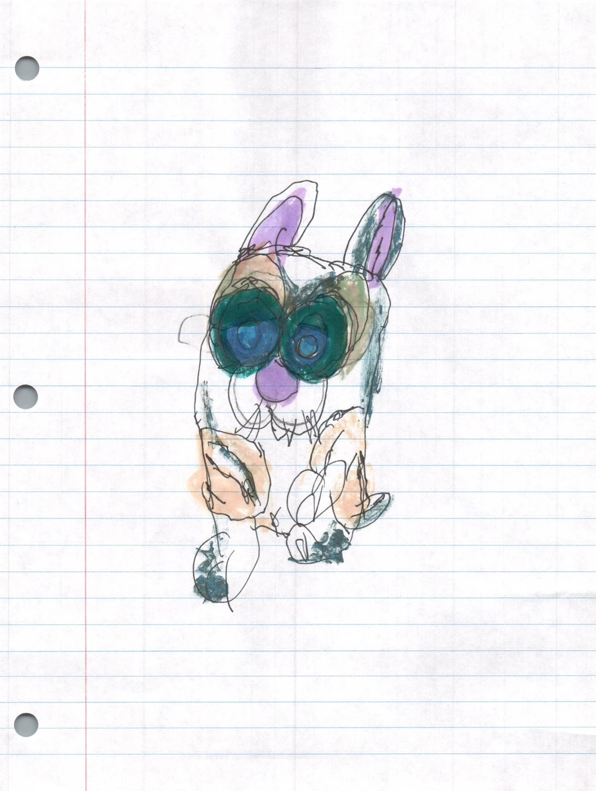 Gadget the Sugar Glider | Luck dog Wiki | Fandom