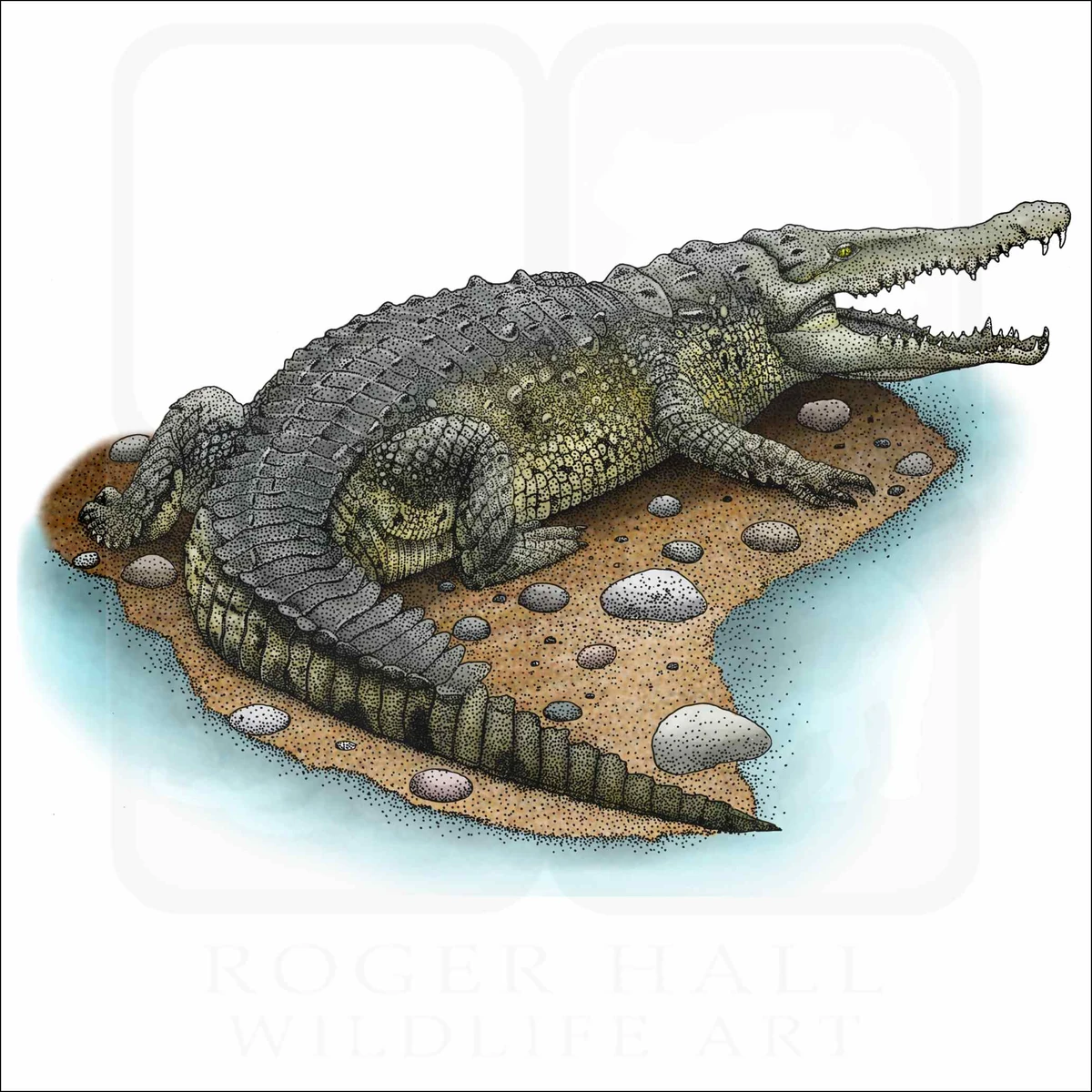 Guacamole the american crocodile | Luck dog Wiki | Fandom