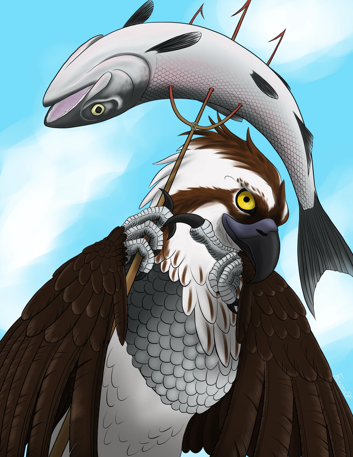 Mbenga the osprey | Luck dog Wiki | Fandom