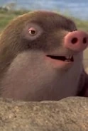 The mole (animals united) | Luck dog Wiki | Fandom