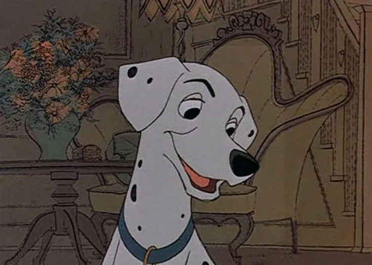 Perdita the Dalmatian | Luck dog Wiki | Fandom