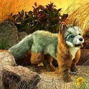 Jorge the Argentine Gray Fox | Luck dog Wiki | Fandom