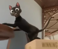 Bob | Luck Wiki | Fandom