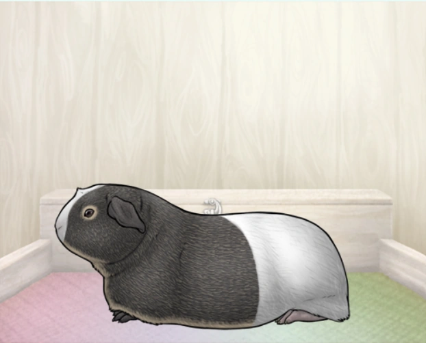 Crested | Lucky Lapine Wiki | Fandom