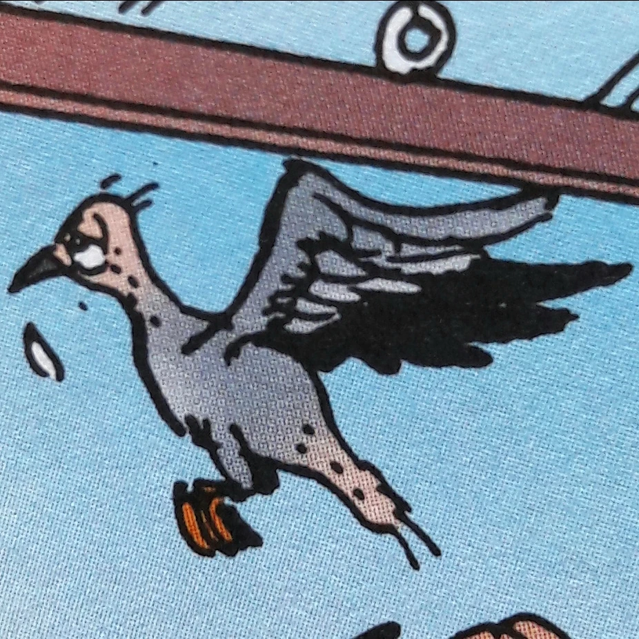 Pepe (Vogel) | Lucky Luke Wiki | Fandom