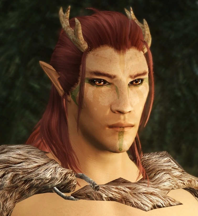 Wood Elves | Lucy's D&D World Wiki | Fandom