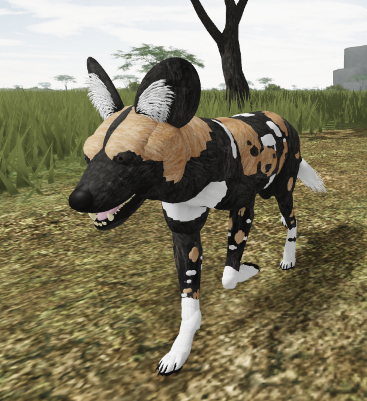 Painted Wolf | ROBLOX Wild Savannah wiki | Fandom