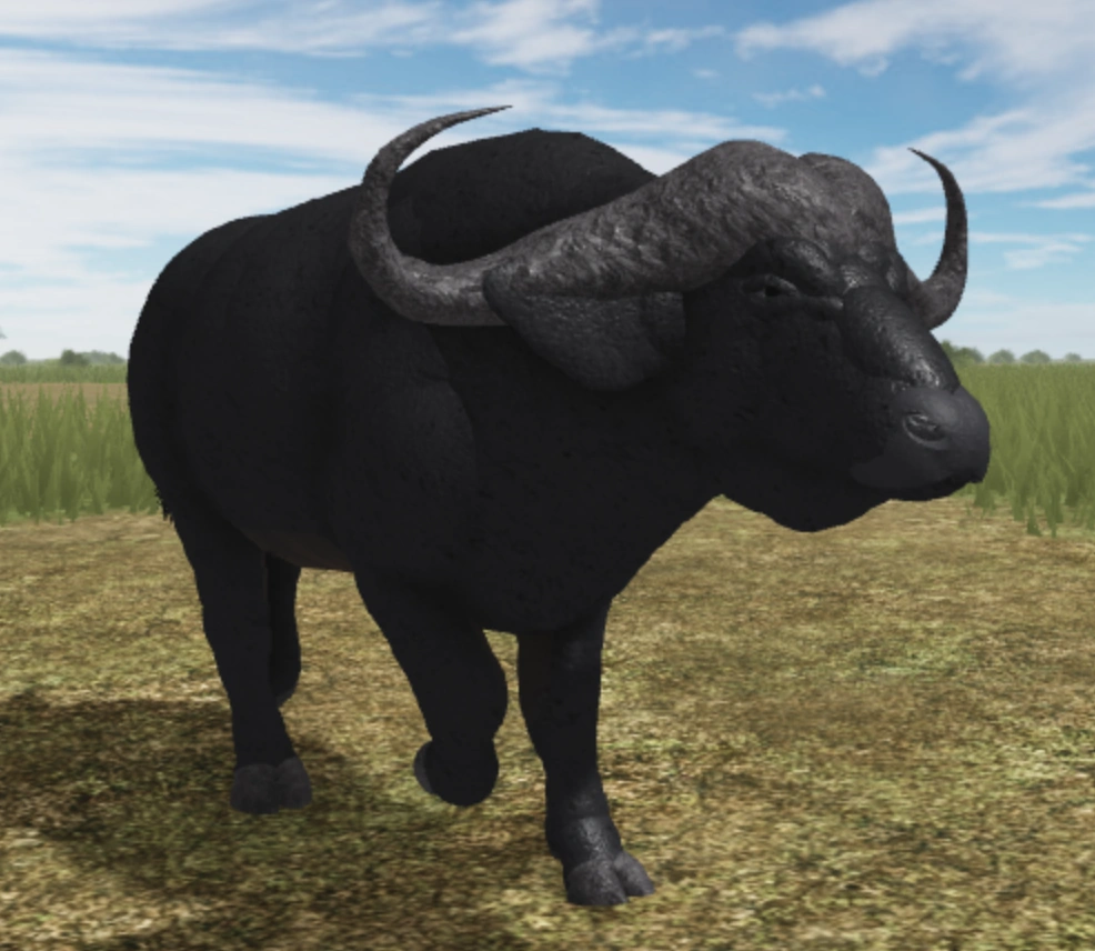 Cape Buffalo | ROBLOX Wild Savannah wiki | Fandom