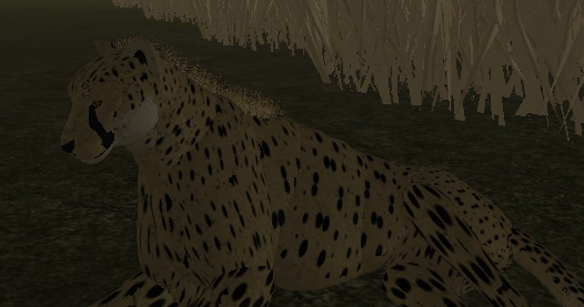 Cheetah/Gallery | ROBLOX Wild Savannah wiki | Fandom