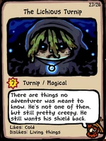 Cards (Ittle Dew) | Ludosity Wiki | Fandom