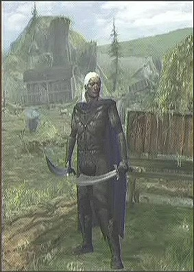 Drizzt Do'Urden | The Game Wiki | Fandom