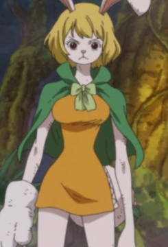 Carrot | Wiki Luffy kun Wiki | Fandom