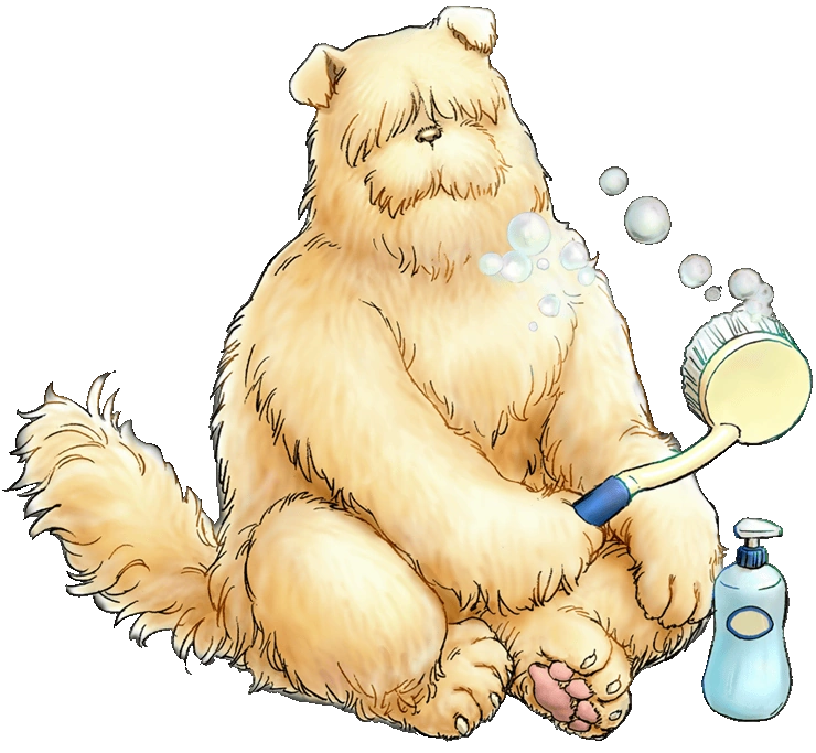 Mousse | Lufia Wiki | Fandom