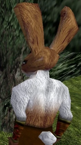 Raider | Lugaru Wiki | Fandom