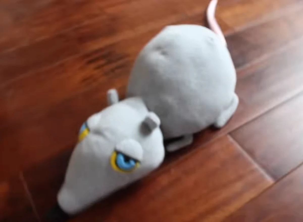 The Giant Rat | Luigifan00001 Wikia | Fandom