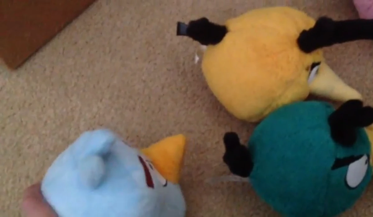 Orange Bird's Birdday | Luigifan00001 Wikia | Fandom