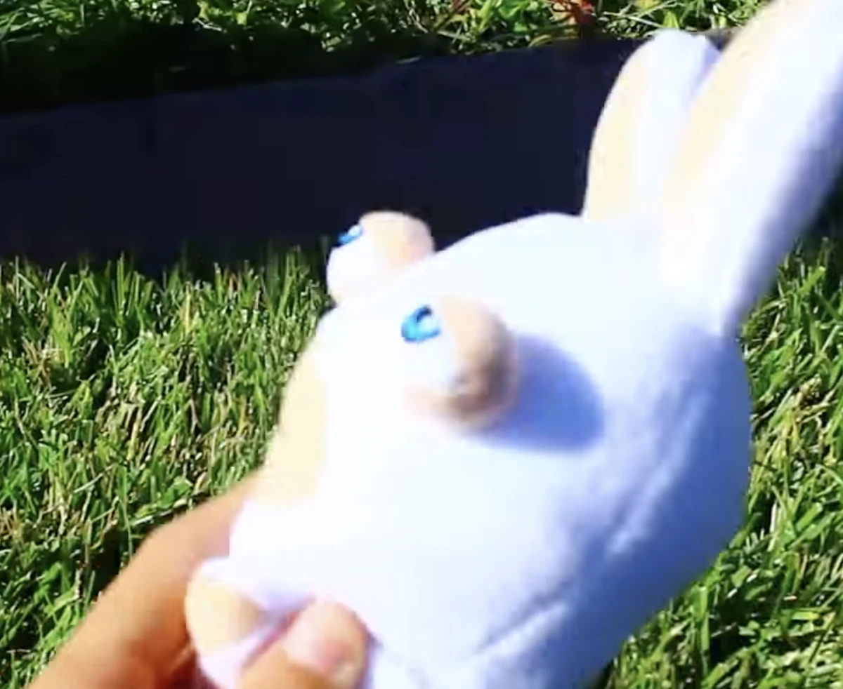 Raving Rabbid | Luigifan00001 Wikia | Fandom