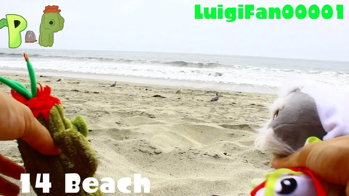 Beach | Luigifan00001 Wikia | Fandom