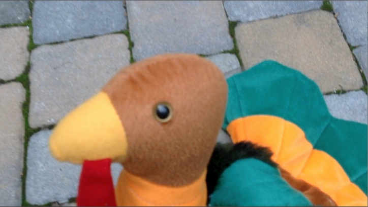 Momma Turkey | Luigifan00001 Wikia | Fandom