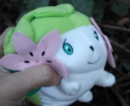 Shaymin (All-Starters) | Luigifan00001 Wikia | Fandom