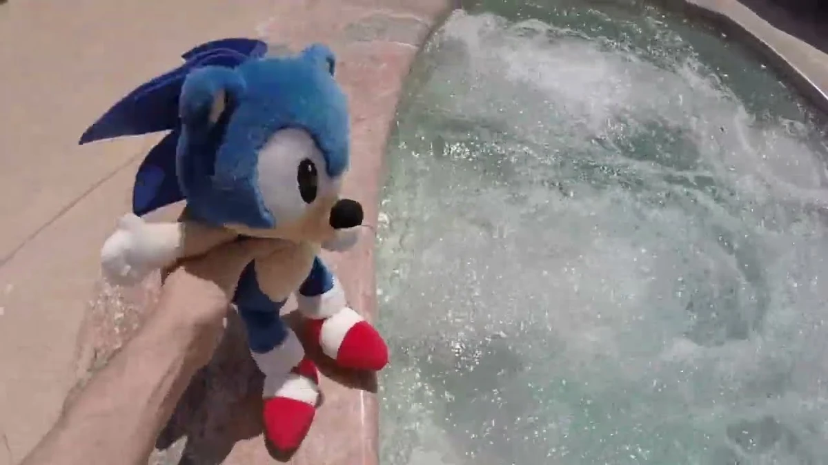 Never Let Classic Sonic Near a Pool | Luigifan00001 Wikia | Fandom