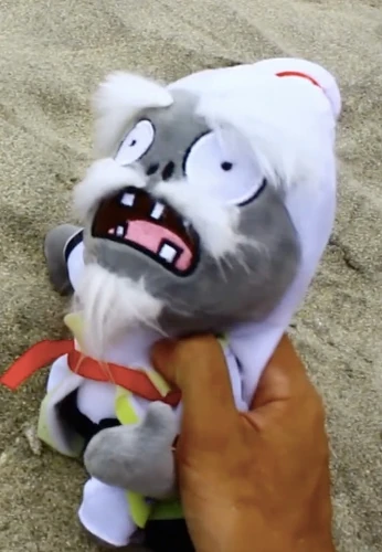 Zen Sensei | Luigifan00001 Wikia | Fandom