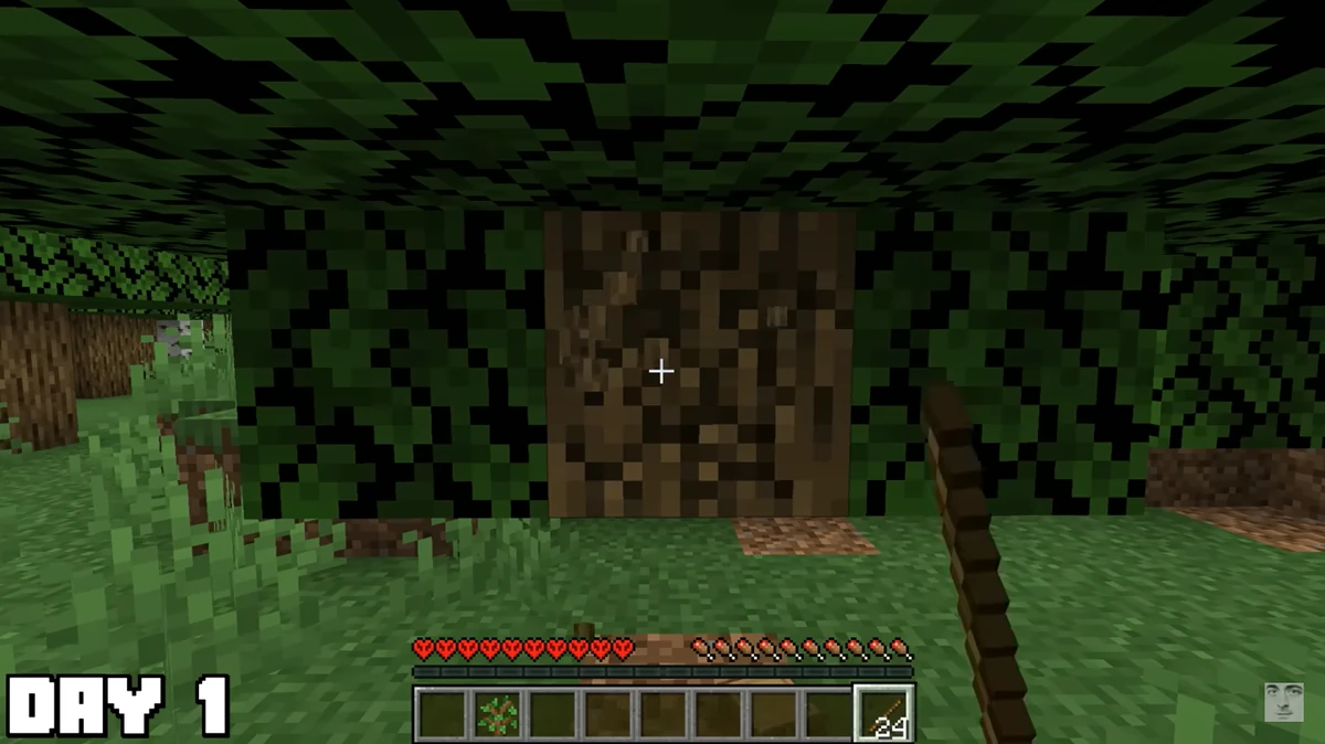 Day 1 (Hardcore Minecraft) | Luke TheNotable Wiki | Fandom