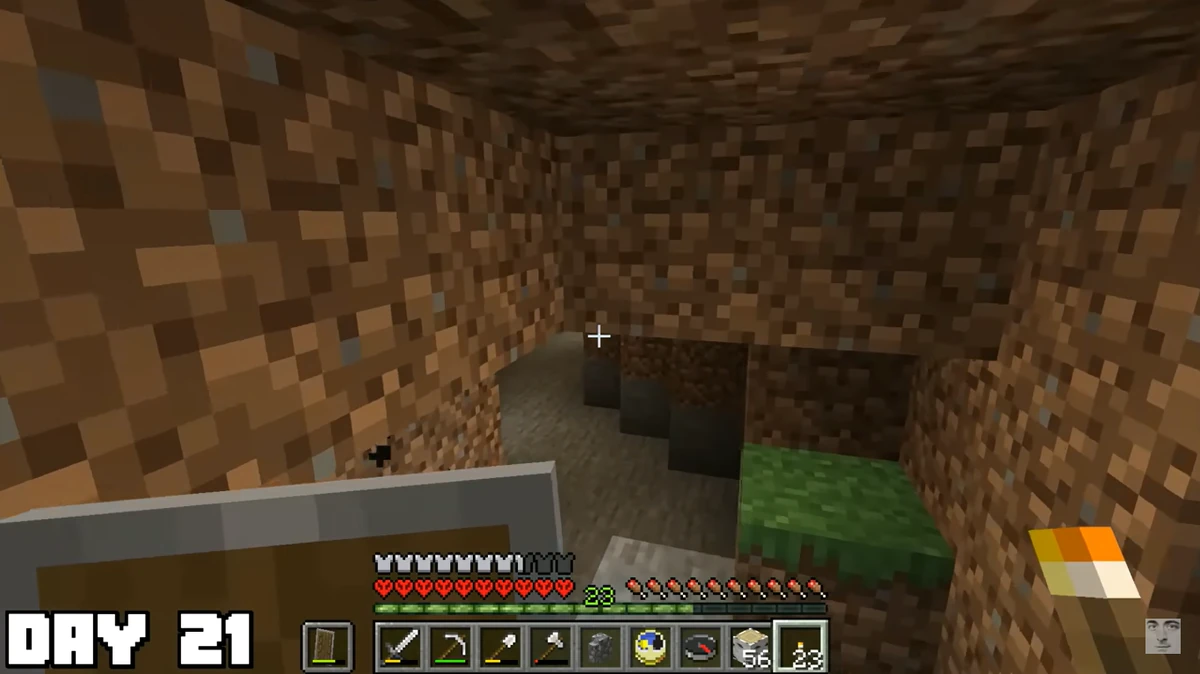 Day 21 (Hardcore Minecraft) | Luke TheNotable Wiki | Fandom
