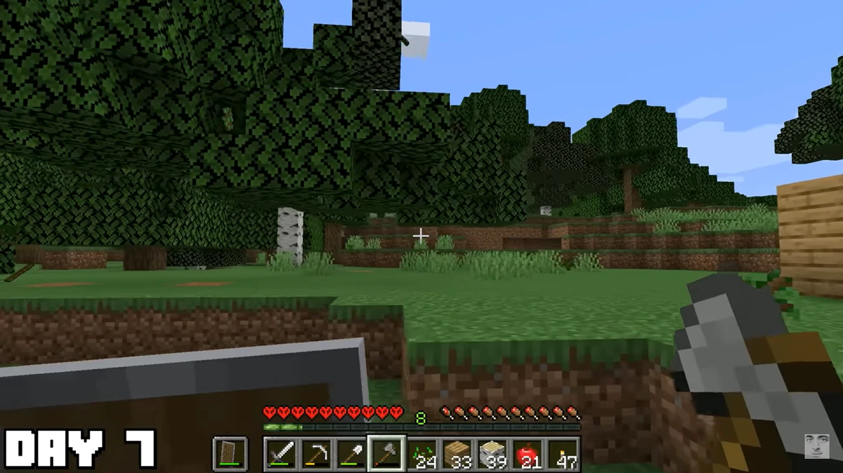 Day 7 (Hardcore Minecraft) | Luke TheNotable Wiki | Fandom