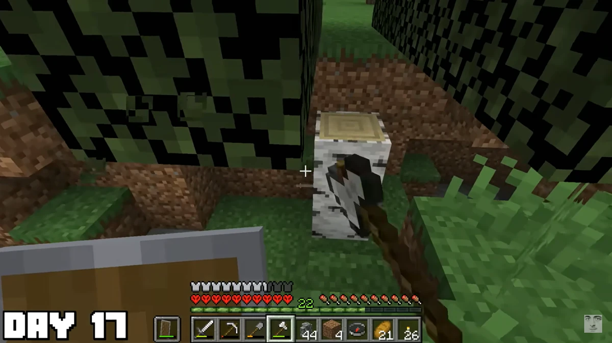 Day 17 (Hardcore Minecraft) | Luke TheNotable Wiki | Fandom