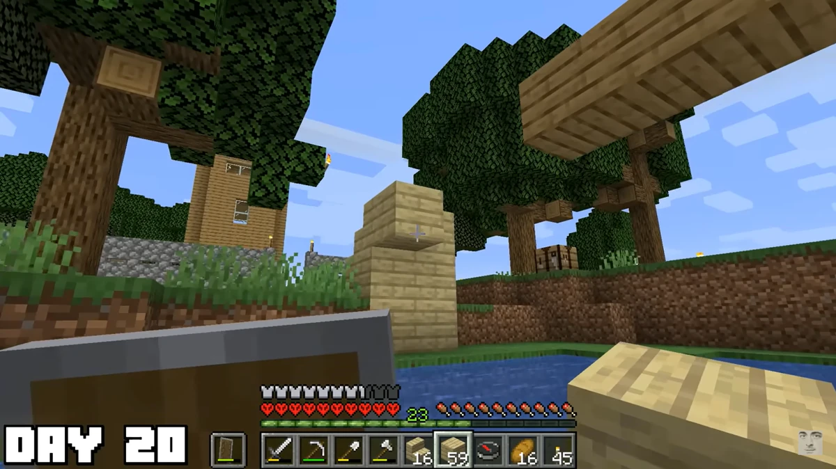 Day 20 (Hardcore Minecraft) | Luke TheNotable Wiki | Fandom