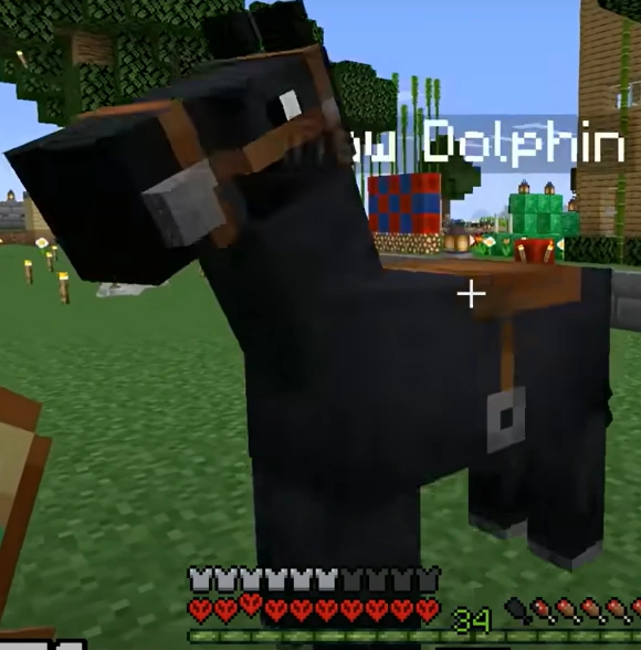 Raw Dolphin | Luke TheNotable Wiki | Fandom