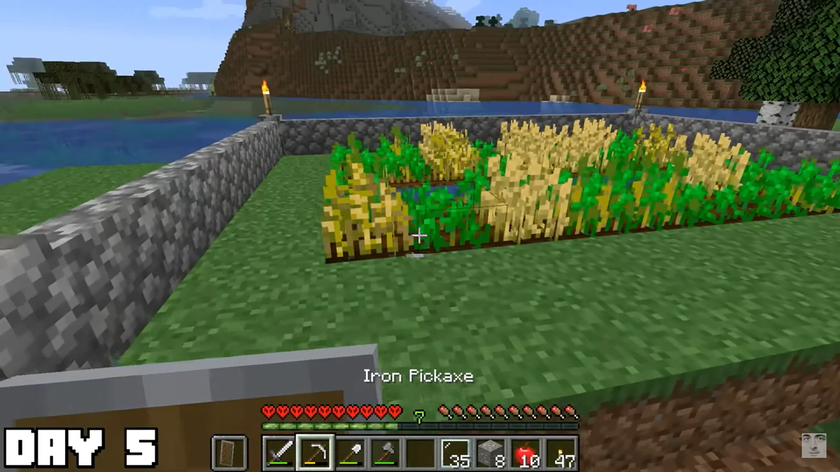 Day 5 (Hardcore Minecraft) | Luke TheNotable Wiki | Fandom