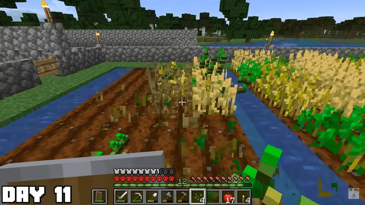 Day 11 (Hardcore Minecraft) | Luke TheNotable Wiki | Fandom