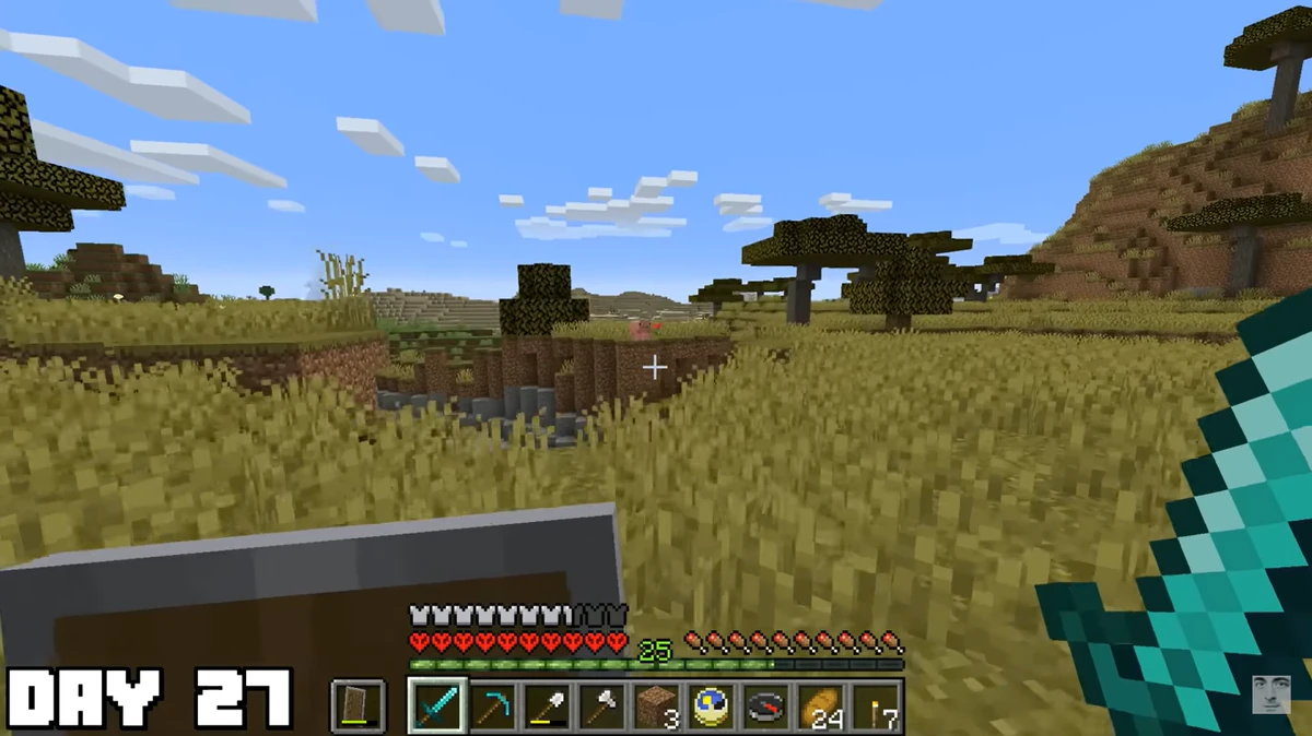 Day 27 (Hardcore Minecraft) | Luke TheNotable Wiki | Fandom