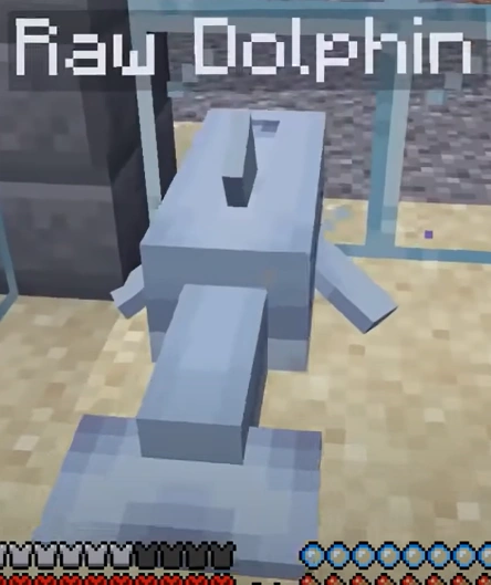 Raw Dolphin (Dolphin) | Luke TheNotable Wiki | Fandom